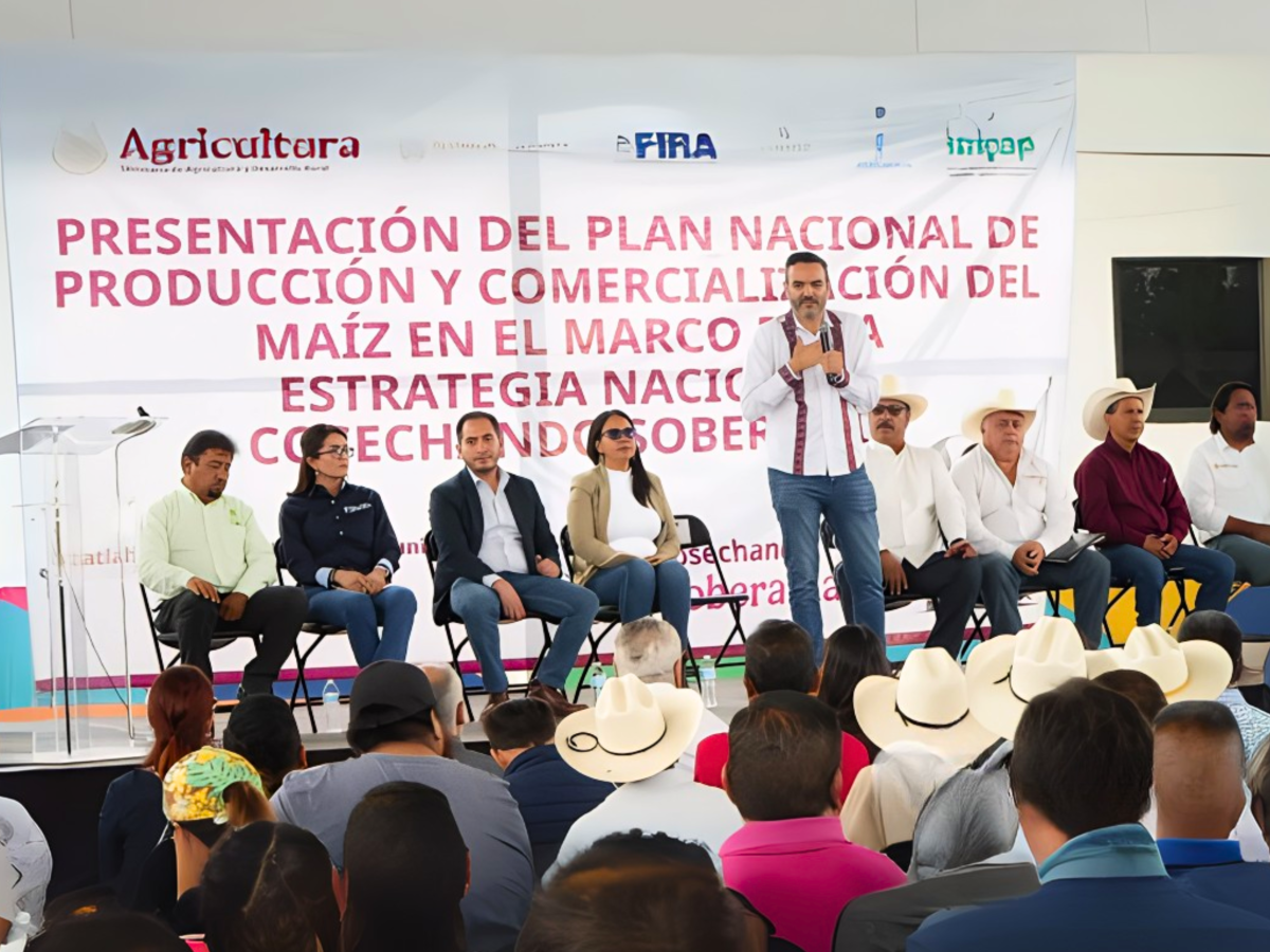 Gobierno mexicano presenta plan nacional para fortalecer la producción ...