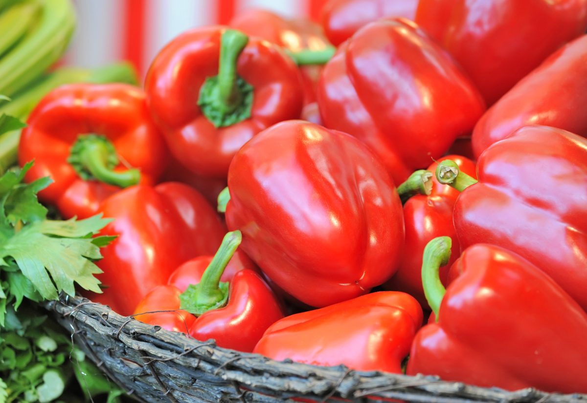 Japón emite consulta pública para iniciar la importación de pimiento ...