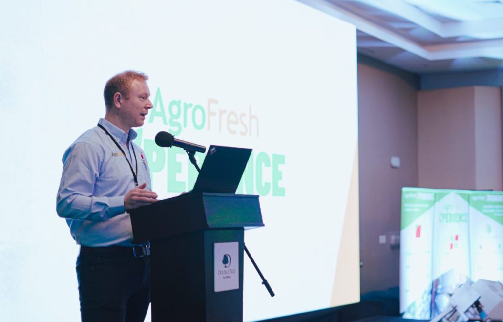 Innovación en arándanos y paltas: claves de la poscosecha discutidas en ...