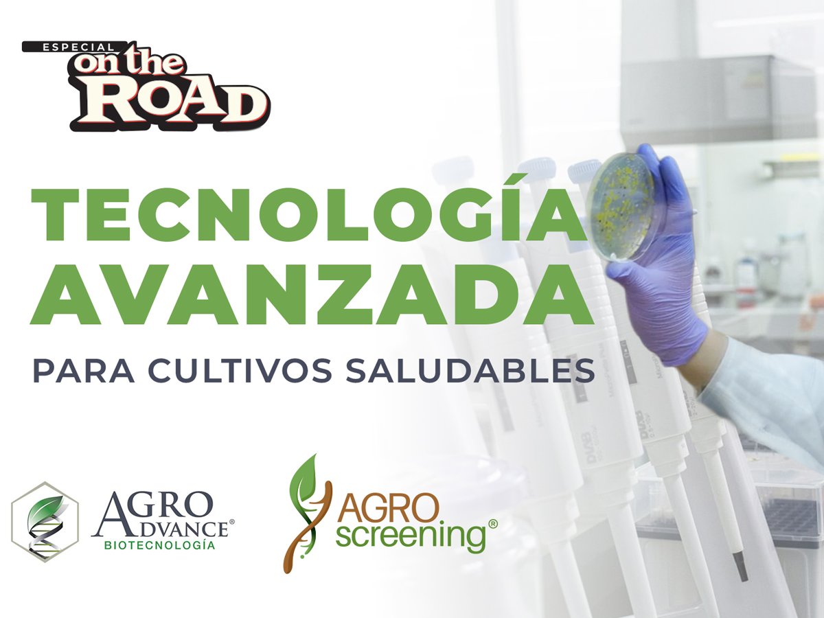 Tecnología avanzada para cultivos sanos: Nuevo laboratorio ...