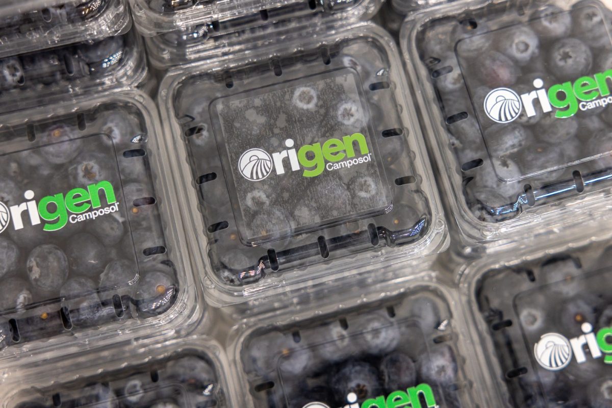 Camposol lanza en Fruit Logistica su programa genético Origen y ...