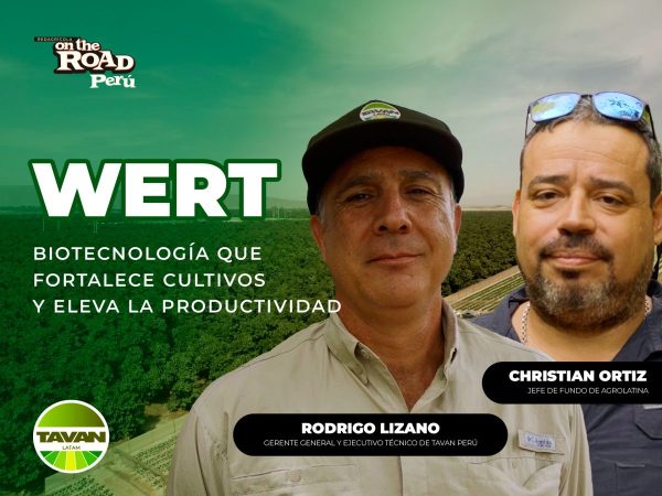 WERT en Nazca: biotecnología que fortalece cultivos y eleva la ...